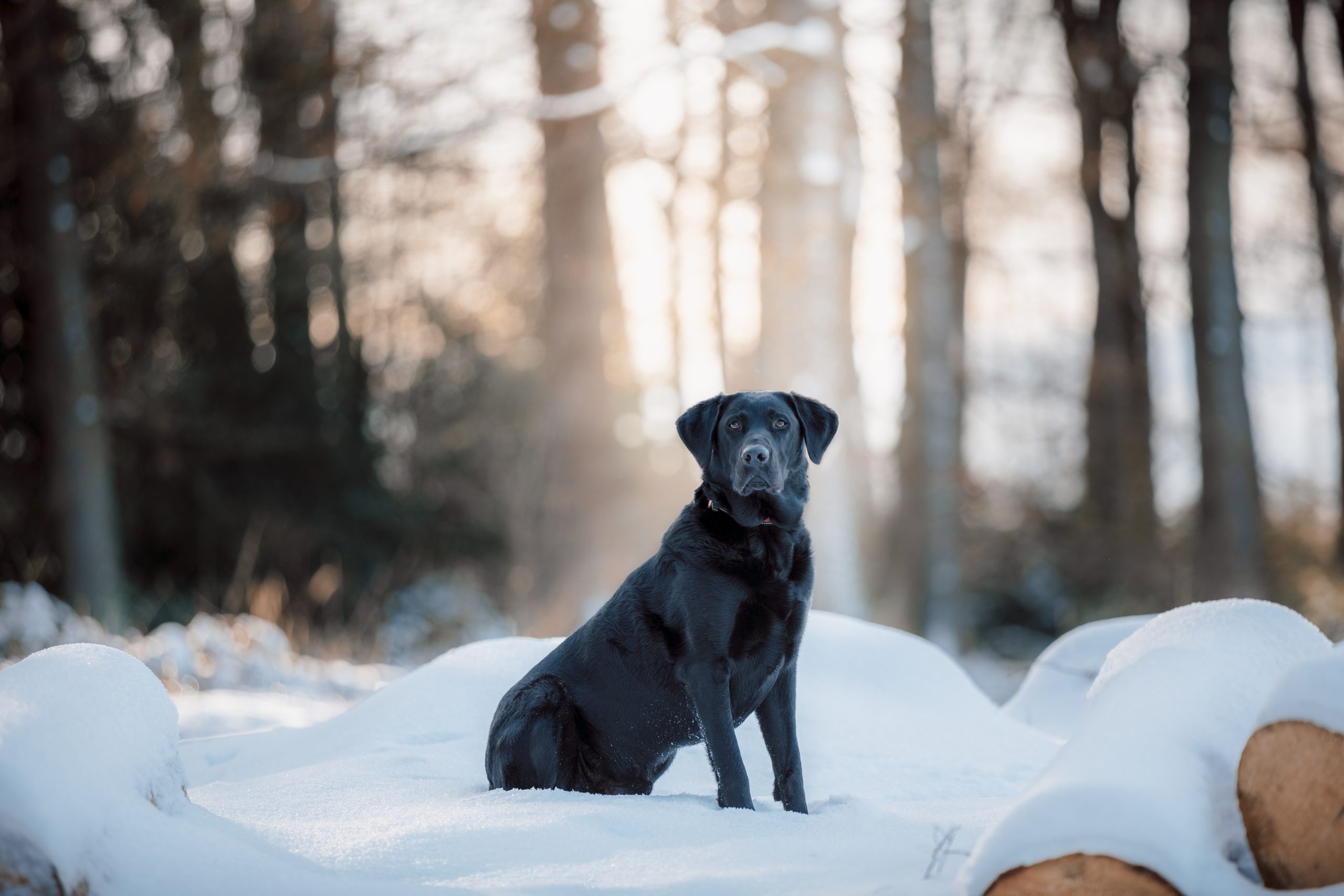 Über Mich – mp portrait fotografie